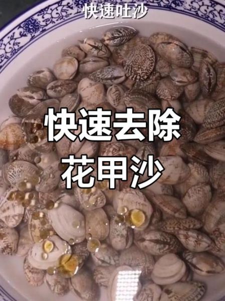 花甲吐沙要多久_花甲吐沙正确方法-第2张图片-山城妙识 花甲吐沙要多久_花甲吐沙正确方法-第2张图片-山城妙识