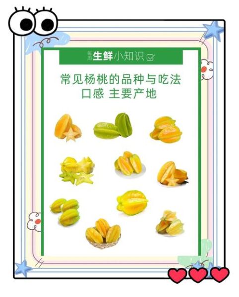 杨桃怎么吃好吃_杨桃怎么吃不涩-第1张图片-山城妙识 杨桃怎么吃好吃_杨桃怎么吃不涩-第1张图片-山城妙识