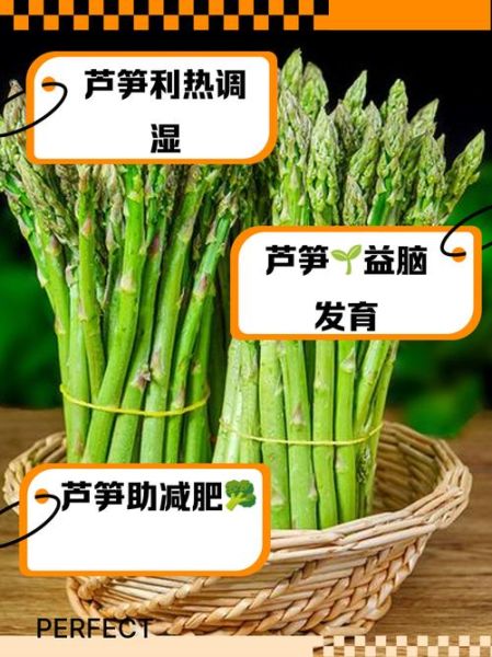 芦笋的功效与作用及禁忌症_什么人不能吃-第1张图片-山城妙识 芦笋的功效与作用及禁忌症_什么人不能吃-第1张图片-山城妙识