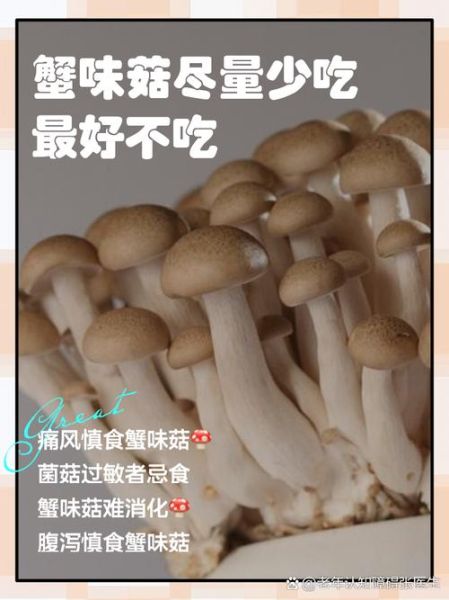 海鲜菇不能和什么一起吃_海鲜菇搭配禁忌-第1张图片-山城妙识