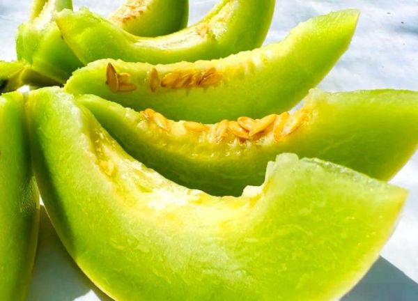 白兰瓜的功效与作用_白兰瓜怎么吃最营养-第3张图片-山城妙识 白兰瓜的功效与作用_白兰瓜怎么吃最营养-第3张图片-山城妙识