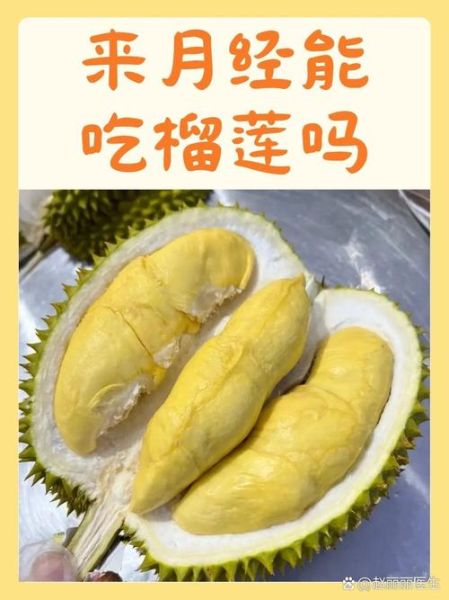 榴莲可以壮阳吗_吃榴莲对性功能有帮助吗-第3张图片-山城妙识 榴莲可以壮阳吗_吃榴莲对性功能有帮助吗-第3张图片-山城妙识