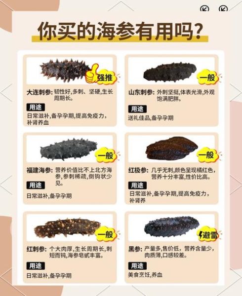 海参种类有哪些_海参营养价值高吗-第1张图片-山城妙识 海参种类有哪些_海参营养价值高吗-第1张图片-山城妙识