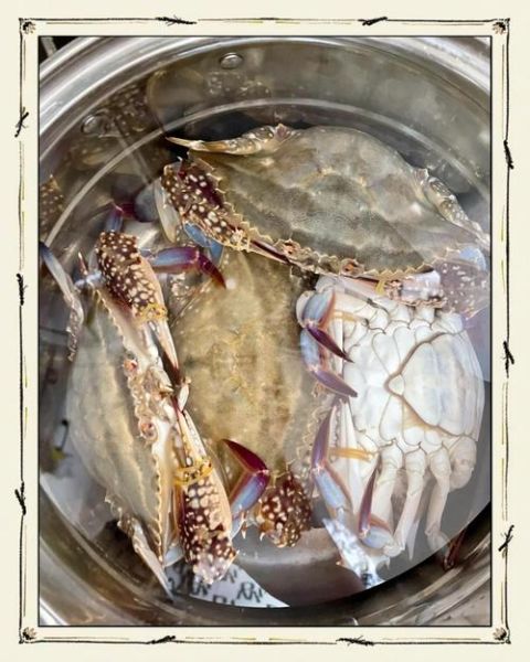 清蒸梭子蟹要不要放盐_蒸梭子蟹盐放多少合适-第3张图片-山城妙识 清蒸梭子蟹要不要放盐_蒸梭子蟹盐放多少合适-第3张图片-山城妙识