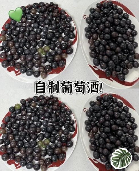 家庭酿葡萄酒最简单的方法_需要哪些材料-第3张图片-山城妙识 家庭酿葡萄酒最简单的方法_需要哪些材料-第3张图片-山城妙识