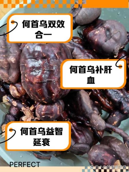 制首乌的功效与作用_如何正确服用制首乌-第2张图片-山城妙识 制首乌的功效与作用_如何正确服用制首乌-第2张图片-山城妙识