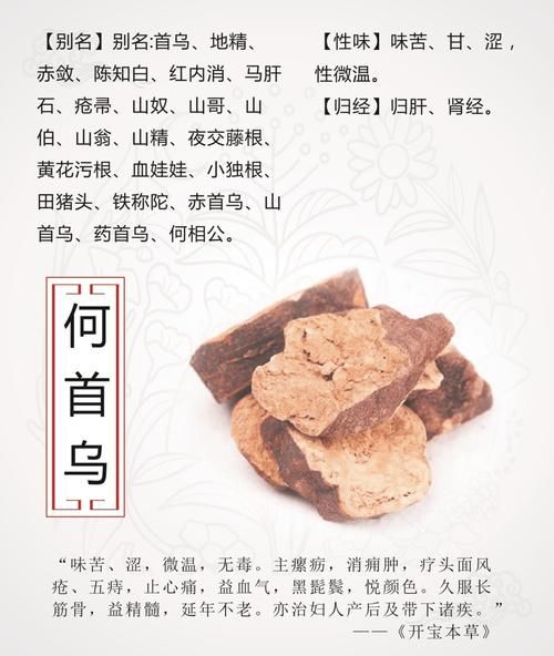 制首乌的功效与作用_如何正确服用制首乌-第3张图片-山城妙识 制首乌的功效与作用_如何正确服用制首乌-第3张图片-山城妙识