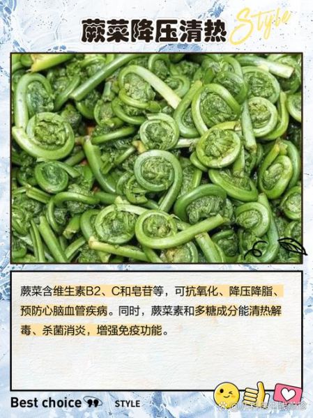 吃蕨菜有什么好处_蕨菜营养价值高吗-第1张图片-山城妙识 吃蕨菜有什么好处_蕨菜营养价值高吗-第1张图片-山城妙识