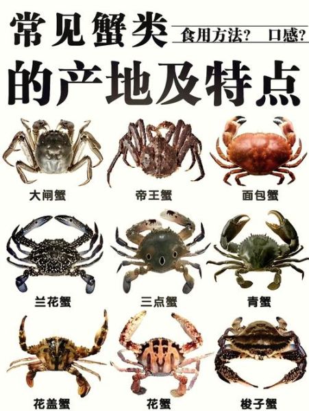 中国十大螃蟹排名_哪种螃蟹最好吃-第1张图片-山城妙识 中国十大螃蟹排名_哪种螃蟹最好吃-第1张图片-山城妙识