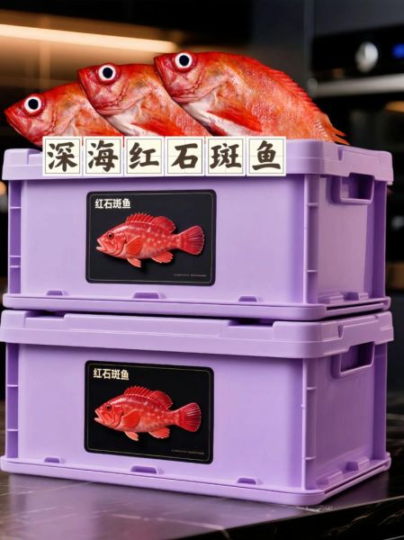 红石斑鱼怎么做好吃_家常做法大全-第1张图片-山城妙识 红石斑鱼怎么做好吃_家常做法大全-第1张图片-山城妙识