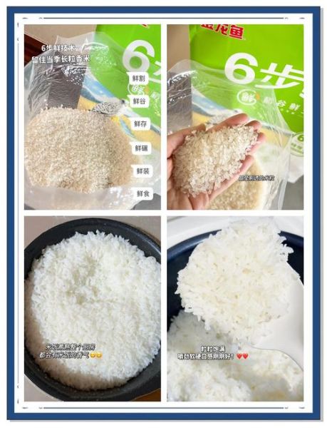 一份盖饭的热量_减肥能吃盖饭吗-第1张图片-山城妙识 一份盖饭的热量_减肥能吃盖饭吗-第1张图片-山城妙识