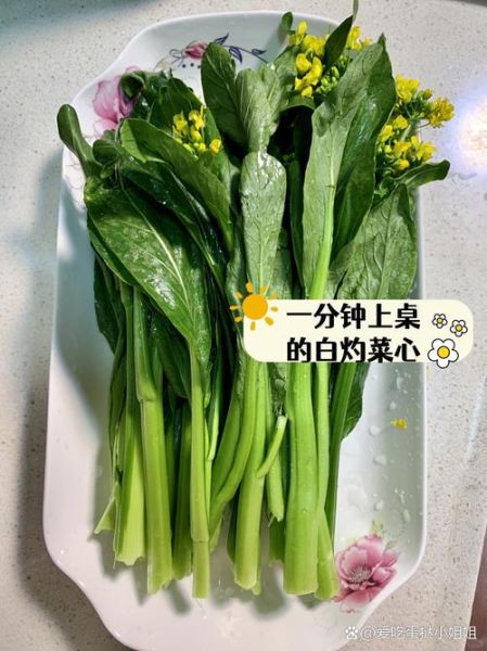 小青菜怎么炒才翠绿_小青菜焯水几分钟-第3张图片-山城妙识 小青菜怎么炒才翠绿_小青菜焯水几分钟-第3张图片-山城妙识