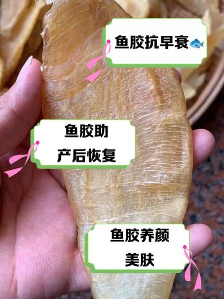 大口胶是什么鱼的鱼胶_大口胶鱼胶的功效与作用-第1张图片-山城妙识 大口胶是什么鱼的鱼胶_大口胶鱼胶的功效与作用-第1张图片-山城妙识