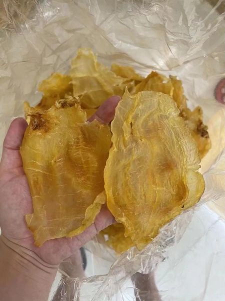 大口胶是什么鱼的鱼胶_大口胶鱼胶的功效与作用-第3张图片-山城妙识 大口胶是什么鱼的鱼胶_大口胶鱼胶的功效与作用-第3张图片-山城妙识