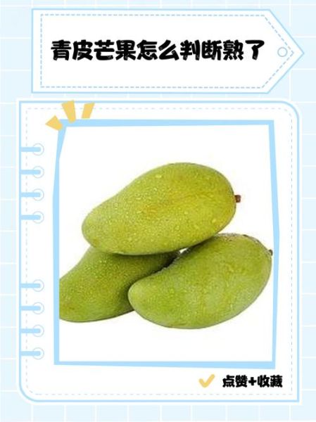 大青芒果怎么算熟_如何判断大青芒果成熟-第1张图片-山城妙识 大青芒果怎么算熟_如何判断大青芒果成熟-第1张图片-山城妙识