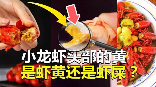 虾头里面是黄还是屎_虾黄能吃吗-第3张图片-山城妙识 虾头里面是黄还是屎_虾黄能吃吗-第3张图片-山城妙识