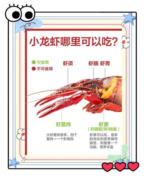 虾头里面是黄还是屎_虾黄能吃吗-第2张图片-山城妙识 虾头里面是黄还是屎_虾黄能吃吗-第2张图片-山城妙识