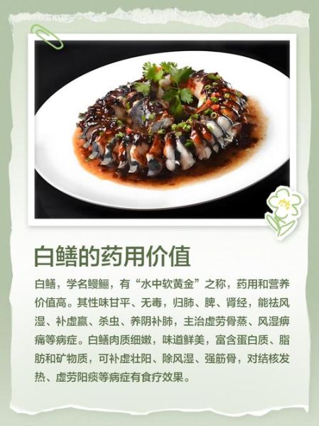 白鳝多少钱一斤_白鳝价格行情-第3张图片-山城妙识