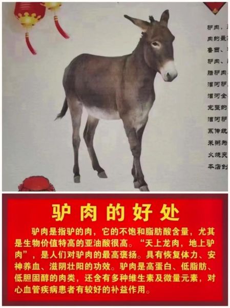 吃驴肉能提高性功能吗_驴肉壮阳是真的吗-第1张图片-山城妙识 吃驴肉能提高性功能吗_驴肉壮阳是真的吗-第1张图片-山城妙识