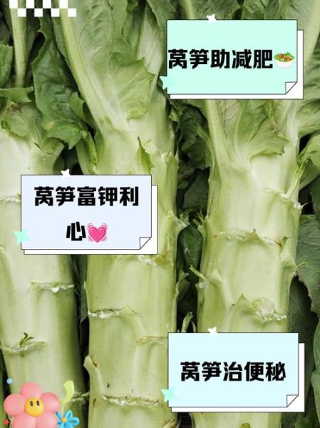 莴笋能减肥吗_莴笋降血压效果好吗-第1张图片-山城妙识 莴笋能减肥吗_莴笋降血压效果好吗-第1张图片-山城妙识