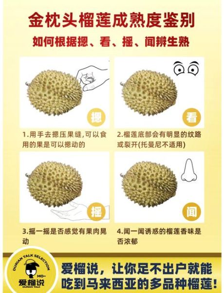 石榴什么时候成熟_如何判断石榴是否成熟-第1张图片-山城妙识 石榴什么时候成熟_如何判断石榴是否成熟-第1张图片-山城妙识