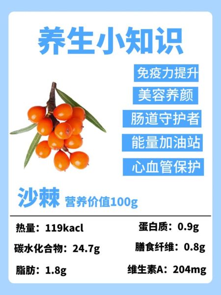 沙棘汁原浆的功效与作用_沙棘原浆能长期喝吗-第1张图片-山城妙识 沙棘汁原浆的功效与作用_沙棘原浆能长期喝吗-第1张图片-山城妙识