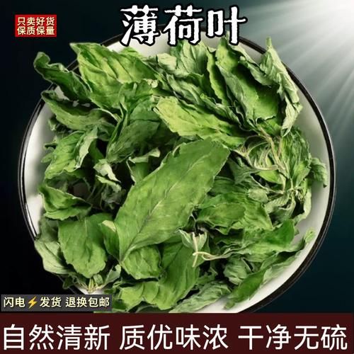 薄荷的功效与作用_薄荷能天天泡水喝吗-第3张图片-山城妙识 薄荷的功效与作用_薄荷能天天泡水喝吗-第3张图片-山城妙识