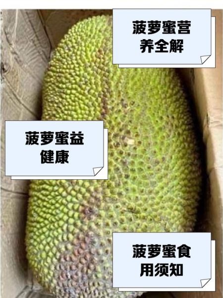 菠萝蜜的功效与作用_菠萝蜜的禁忌人群有哪些-第3张图片-山城妙识 菠萝蜜的功效与作用_菠萝蜜的禁忌人群有哪些-第3张图片-山城妙识