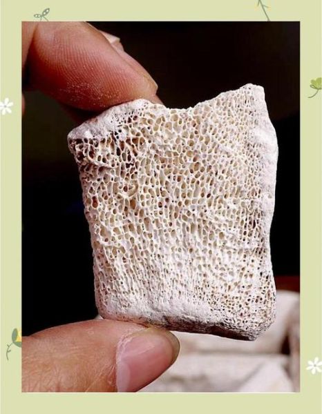 生龙骨的功效与作用_生龙骨能安神吗-第3张图片-山城妙识 生龙骨的功效与作用_生龙骨能安神吗-第3张图片-山城妙识