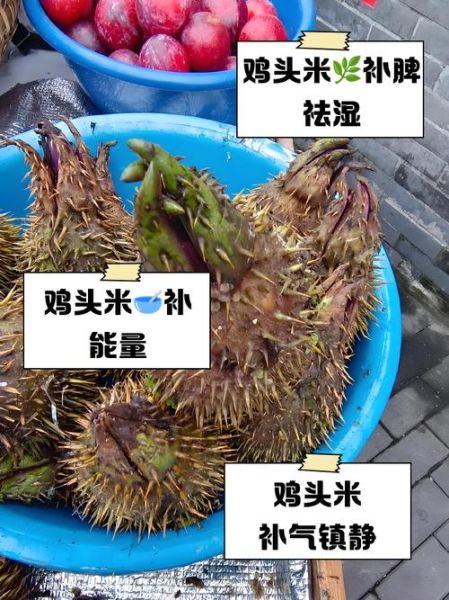 干鸡头米怎么泡发_干鸡头米泡多久-第2张图片-山城妙识 干鸡头米怎么泡发_干鸡头米泡多久-第2张图片-山城妙识