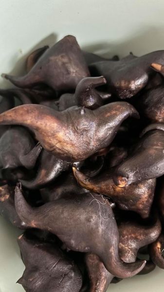 菱角冷水下锅还是沸水_菱角怎么煮才软糯-第2张图片-山城妙识