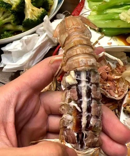 注胶虾怎么辨别_注胶虾吃了有什么危害-第2张图片-山城妙识 注胶虾怎么辨别_注胶虾吃了有什么危害-第2张图片-山城妙识