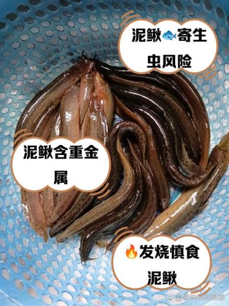 泥鳅煮多久能杀死寄生虫_泥鳅煮几分钟才安全-第1张图片-山城妙识 泥鳅煮多久能杀死寄生虫_泥鳅煮几分钟才安全-第1张图片-山城妙识