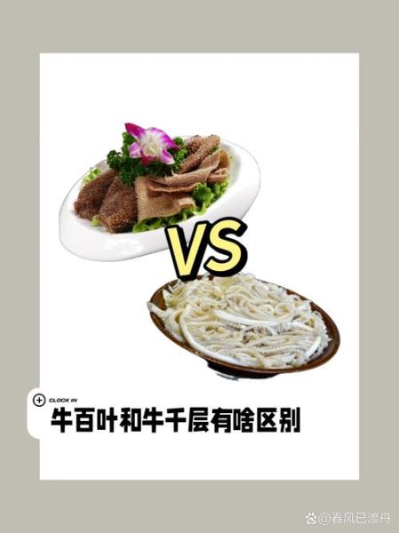 毛肚和牛肚的区别_哪个部位更好吃-第3张图片-山城妙识 毛肚和牛肚的区别_哪个部位更好吃-第3张图片-山城妙识