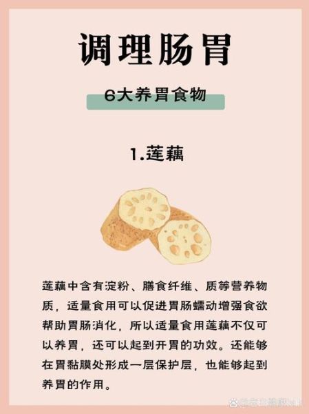 肠胃不好怎么调理_吃什么食物最养胃-第3张图片-山城妙识 肠胃不好怎么调理_吃什么食物最养胃-第3张图片-山城妙识