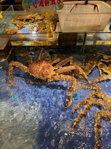 帝王蟹最大多少斤_世界纪录多少斤-第1张图片-山城妙识