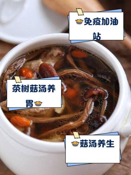 茶树菇鸡汤的功效与禁忌_孕妇能喝吗-第1张图片-山城妙识