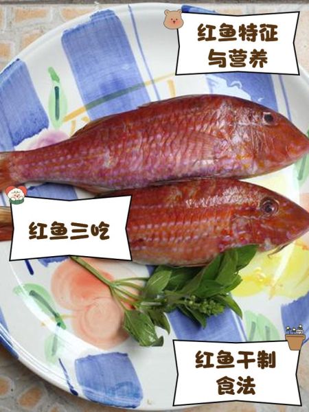 深海红鱼怎么做好吃_深海红鱼家常做法-第1张图片-山城妙识