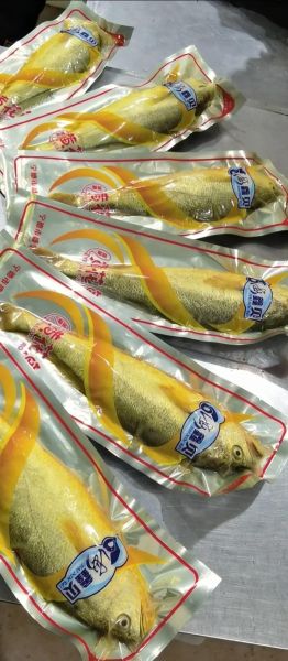 黄瓜鱼多少钱一斤_黄瓜鱼价格行情-第2张图片-山城妙识