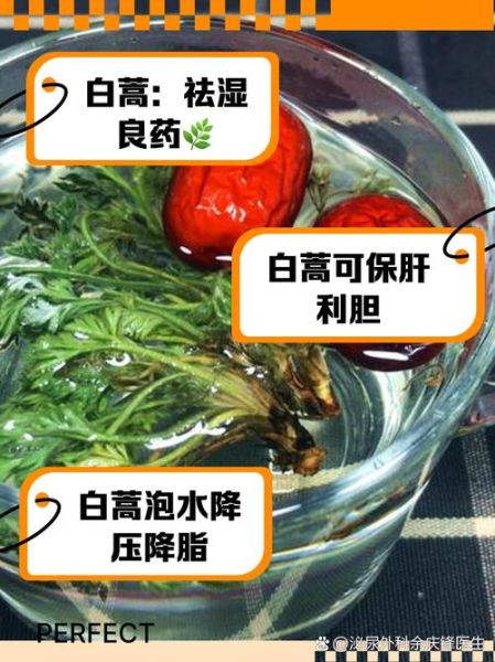 白蒿怎么吃_白蒿的吃法大全-第1张图片-山城妙识 白蒿怎么吃_白蒿的吃法大全-第1张图片-山城妙识