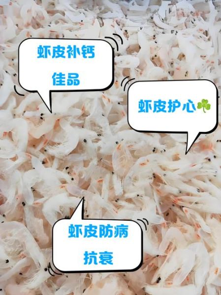 虾皮的功效与作用禁忌_什么人不能吃虾皮-第2张图片-山城妙识