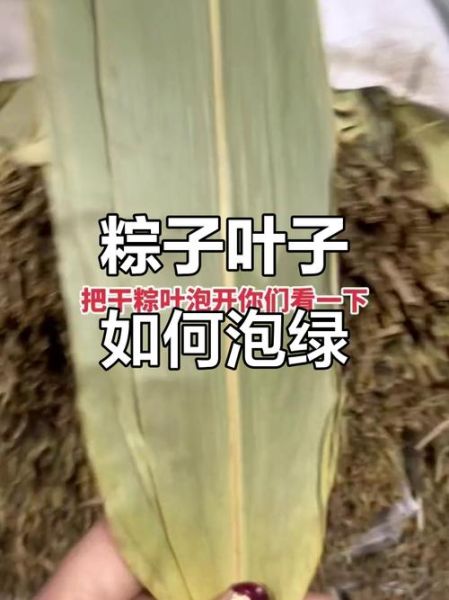 干粽叶怎么处理_干粽叶泡多久才软-第2张图片-山城妙识 干粽叶怎么处理_干粽叶泡多久才软-第2张图片-山城妙识