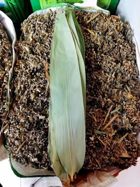 干粽叶怎么处理_干粽叶泡多久才软-第3张图片-山城妙识 干粽叶怎么处理_干粽叶泡多久才软-第3张图片-山城妙识