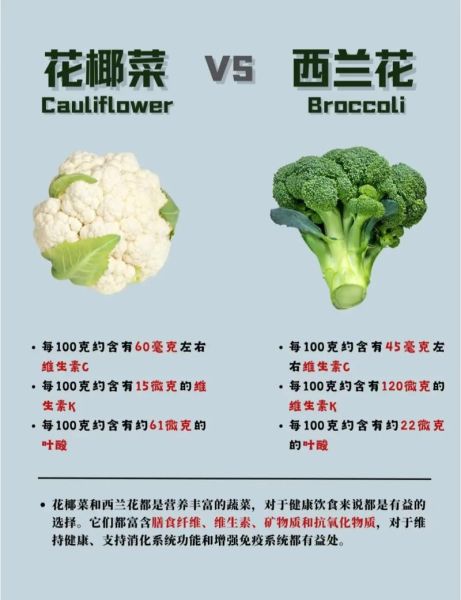 散花菜怎么做好吃_散花菜和西兰花区别-第2张图片-山城妙识