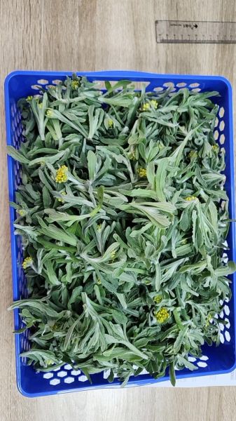 清明菜粑粑怎么做_清明菜粑粑的功效与作用-第1张图片-山城妙识