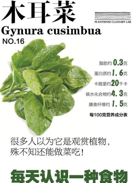 凉拌木耳菜的做法_木耳菜焯水几分钟-第3张图片-山城妙识 凉拌木耳菜的做法_木耳菜焯水几分钟-第3张图片-山城妙识