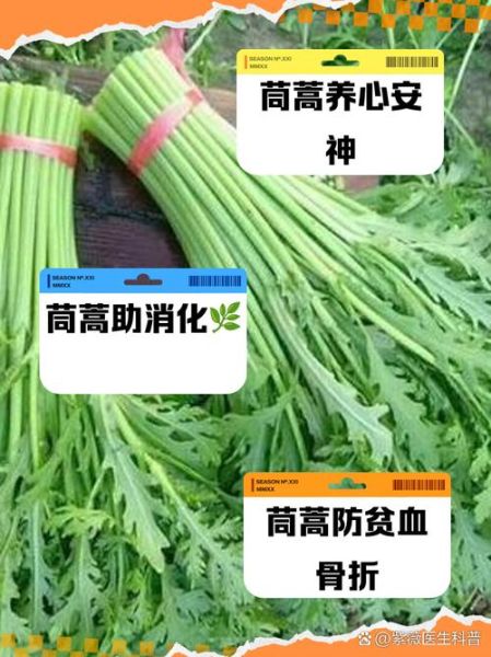 吃茼蒿有什么好处_茼蒿营养价值高吗-第3张图片-山城妙识 吃茼蒿有什么好处_茼蒿营养价值高吗-第3张图片-山城妙识