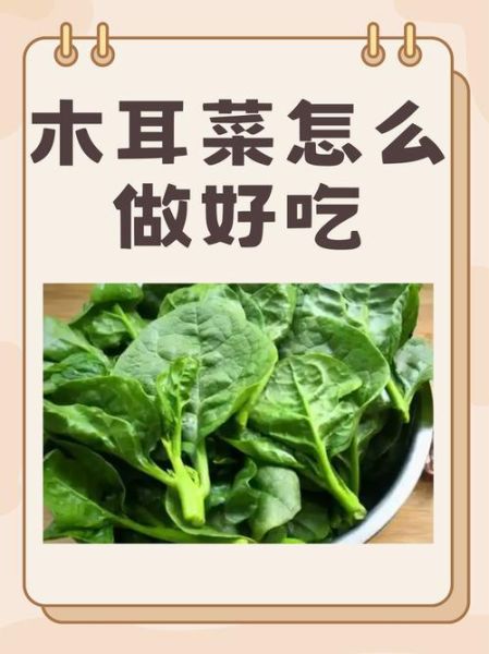 凉拌木耳菜的做法_木耳菜焯水几分钟-第2张图片-山城妙识 凉拌木耳菜的做法_木耳菜焯水几分钟-第2张图片-山城妙识