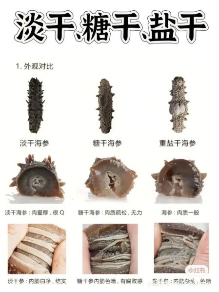 海参怎么繁殖后代_海参繁殖方式有哪些-第1张图片-山城妙识