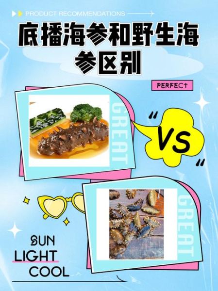 海参怎么繁殖后代_海参繁殖方式有哪些-第3张图片-山城妙识